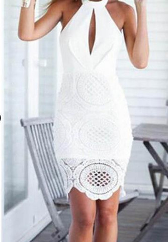 Cute Lace Show Body Dress on Luulla